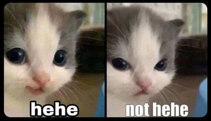 Is your mood currently, hehe, or not hehe? - GirlsAskGuys