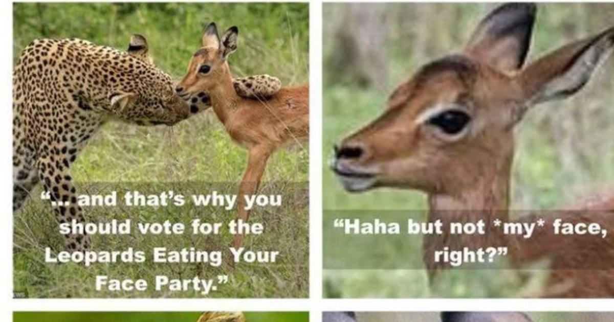 Would YOU vote for the 'Leopards Eating my Face' party? - GirlsAskGuys