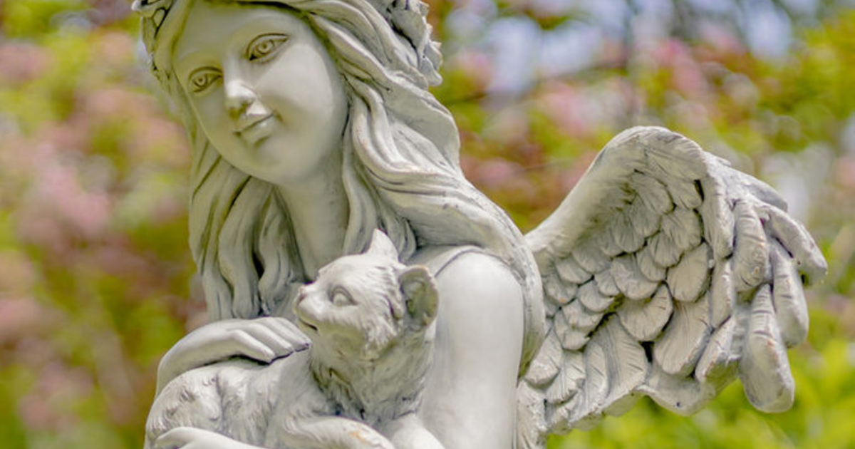 Do you agree that Angelici is the best variation of Christianity for me ...