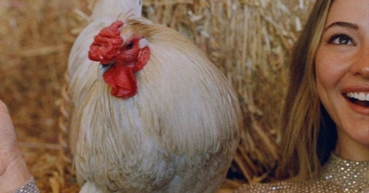 Should every woman have a rooster? - GirlsAskGuys