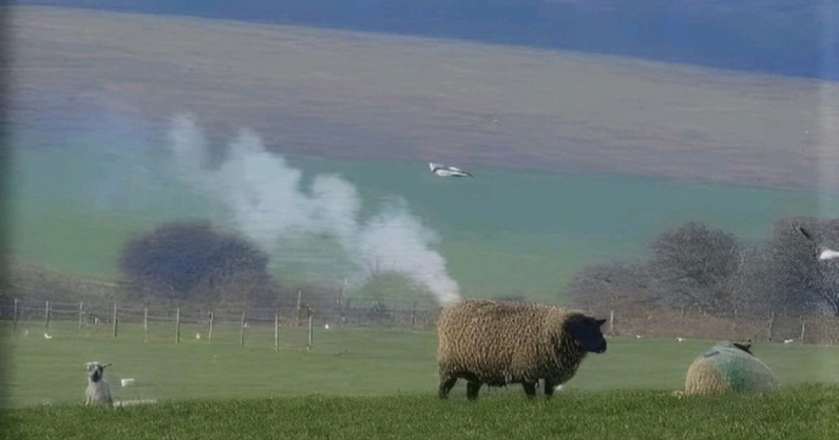 Have you ever been frightened to fart when it's cold? - GirlsAskGuys