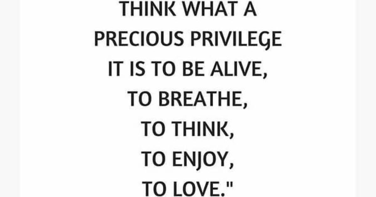 How's your day/morning going? Do you ♥️ the AM solitude? Late sleeper ...