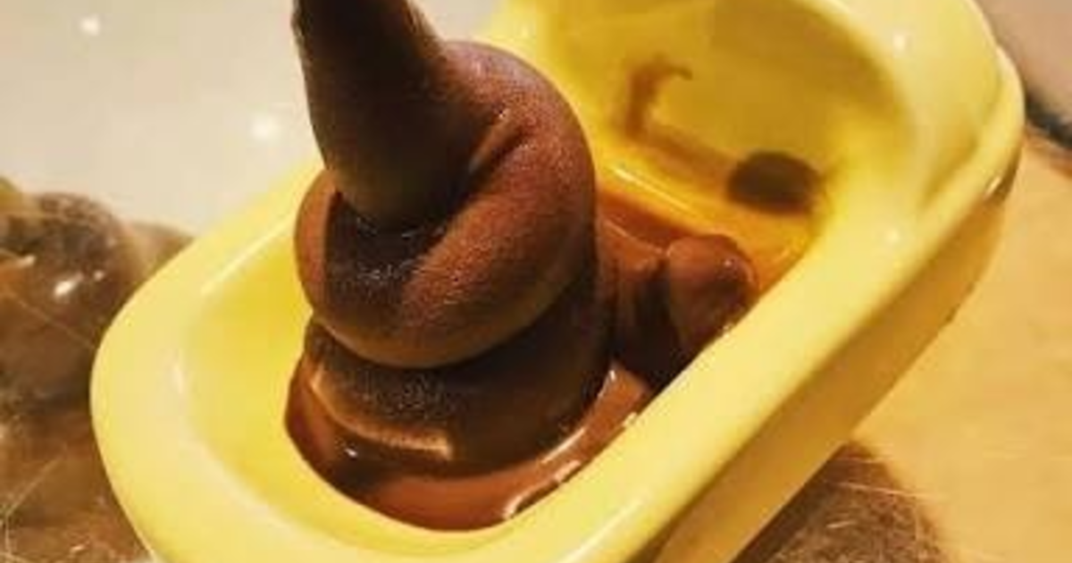 What would you do if your date took you to a poop restaurant ...