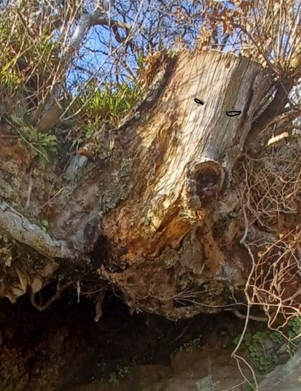 Which crappy photo is the best? - GirlsAskGuys