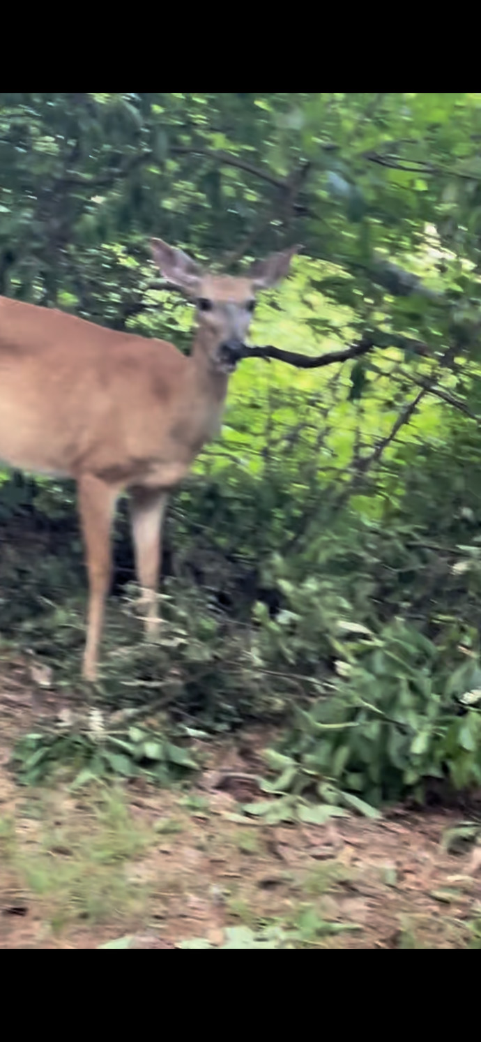 As For Unusual Encounters What Is The Most Unusual Encounter You Have ...