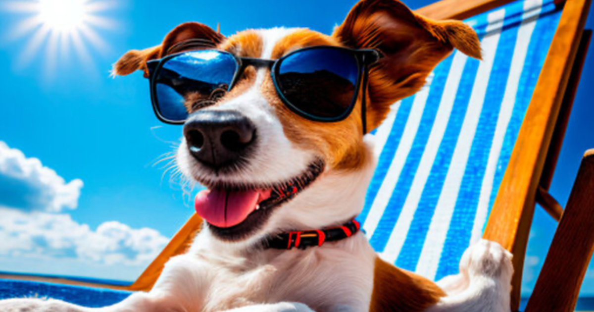 As For Unusual Encounters What Is The Most Unusual Encounter You Have ...