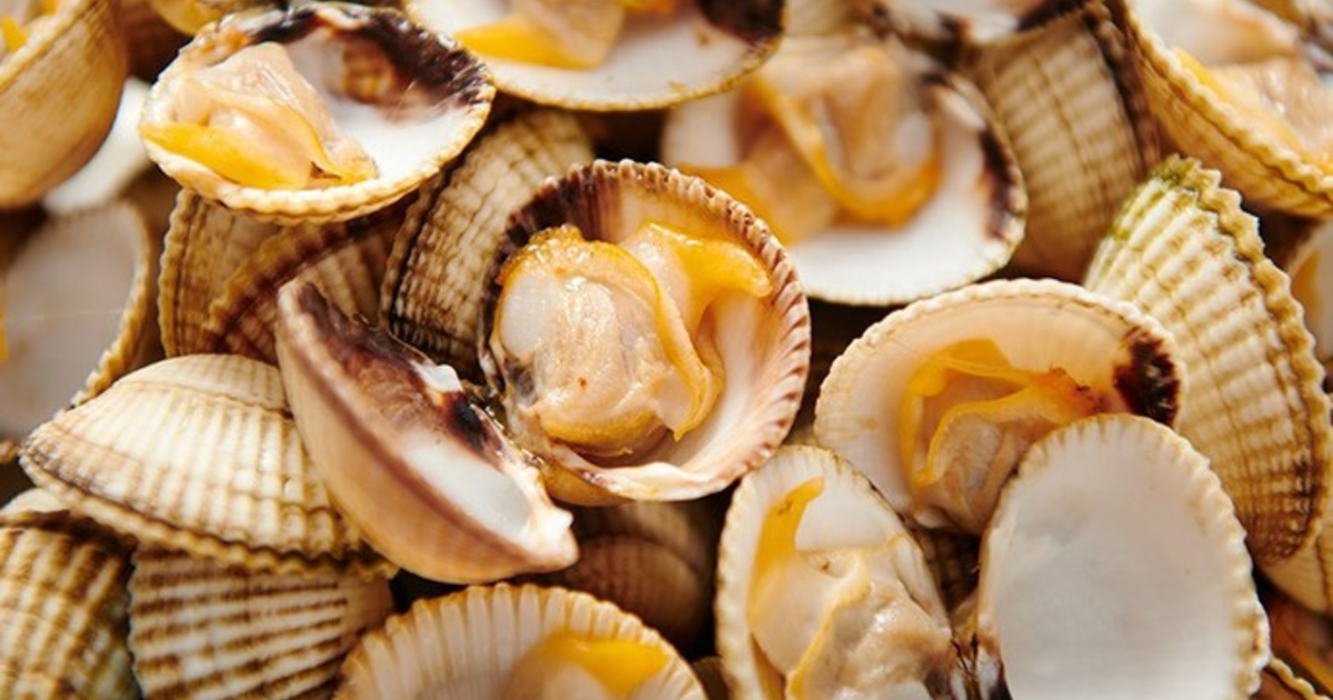 Which is the best bivalve shellfish? - GirlsAskGuys