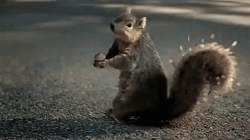 Do you think animals will one day take revenge on humans and take over ...