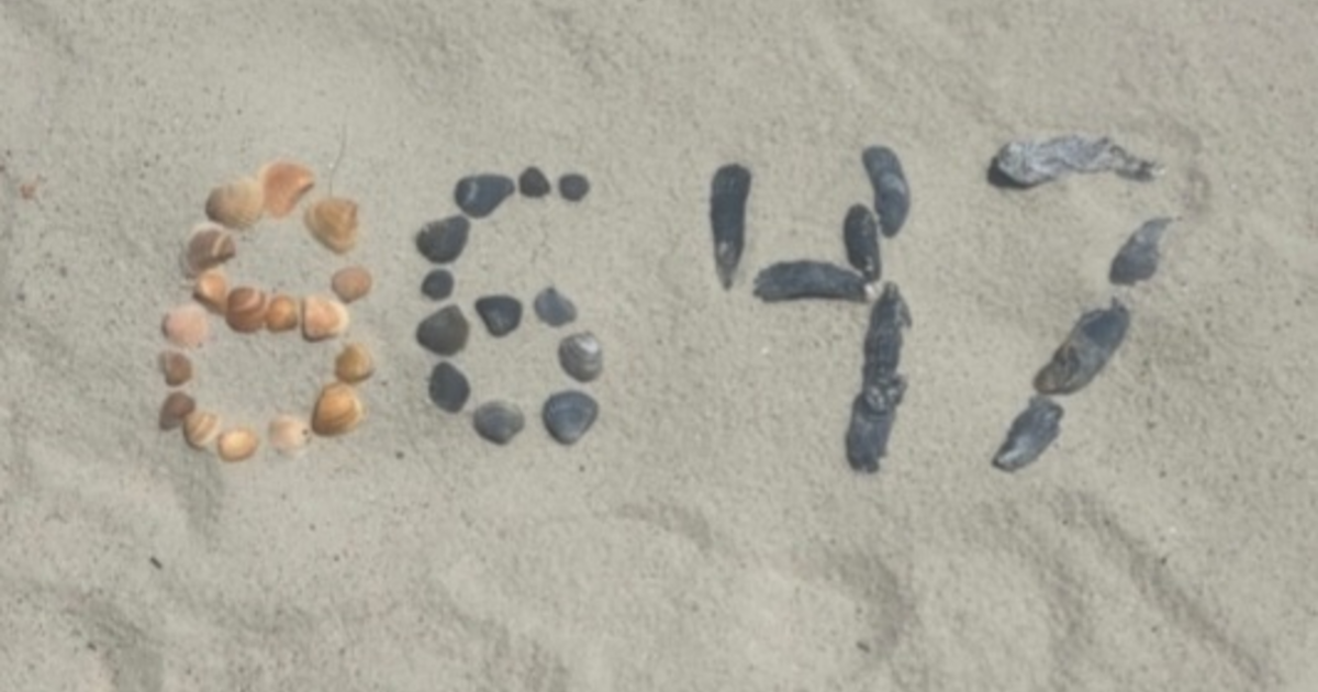 Are you upset about the "86 47" seashells that James Comey posted ...