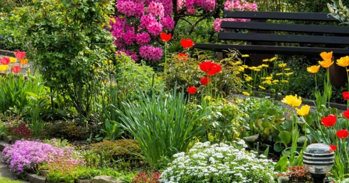 Do you have a FLOWER GARDEN? - GirlsAskGuys