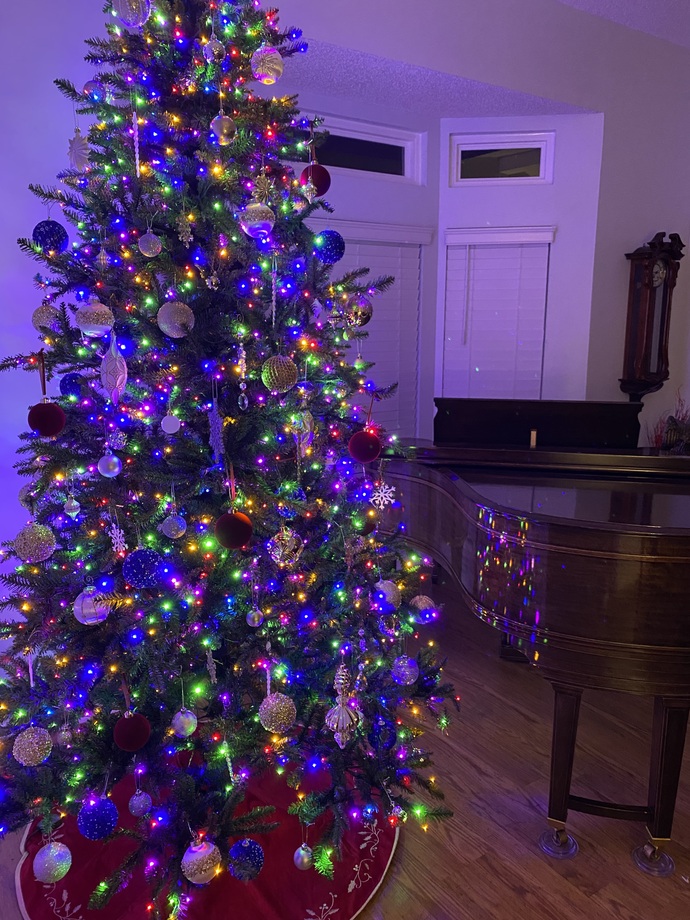 Do You Decorate Your Home For Christmas? - GirlsAskGuys