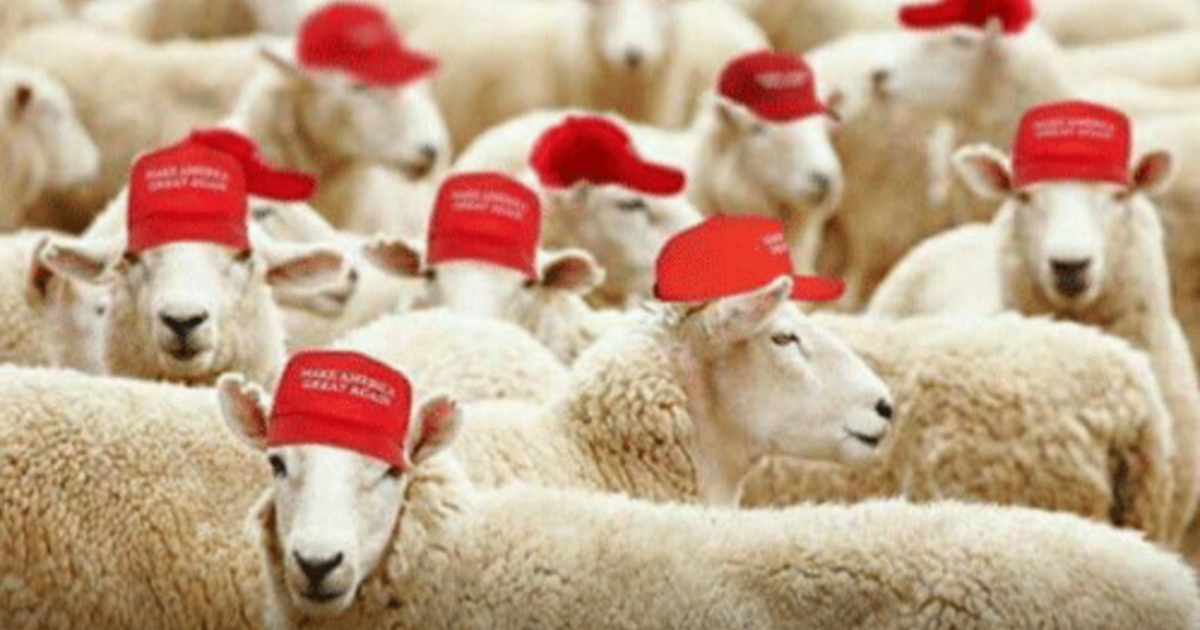 What do you think would be the best caption for this meme template ...