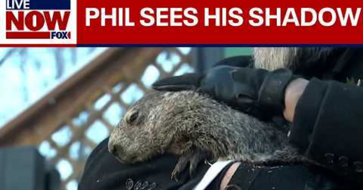 Punxsutawney Phil, Groundhog Prognosticator, says Six More Weeks of ...